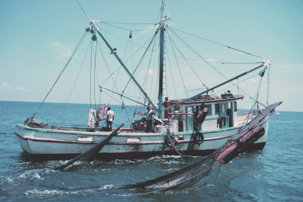 TCN | Research shows importance of protecting ocean sediment from trawling